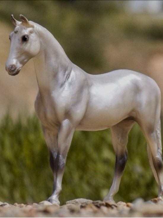 Breyer | Other | Breyer 7th Anniversary Pearly Grey Trakehner | Poshmark